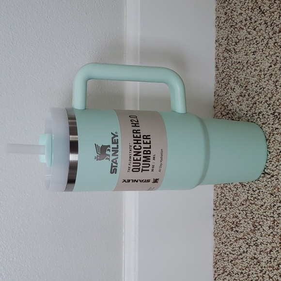 Stanley | Kitchen | Nwt 3oz Mint Stanley | Poshmark